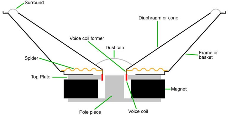 Principle and operation of the speaker